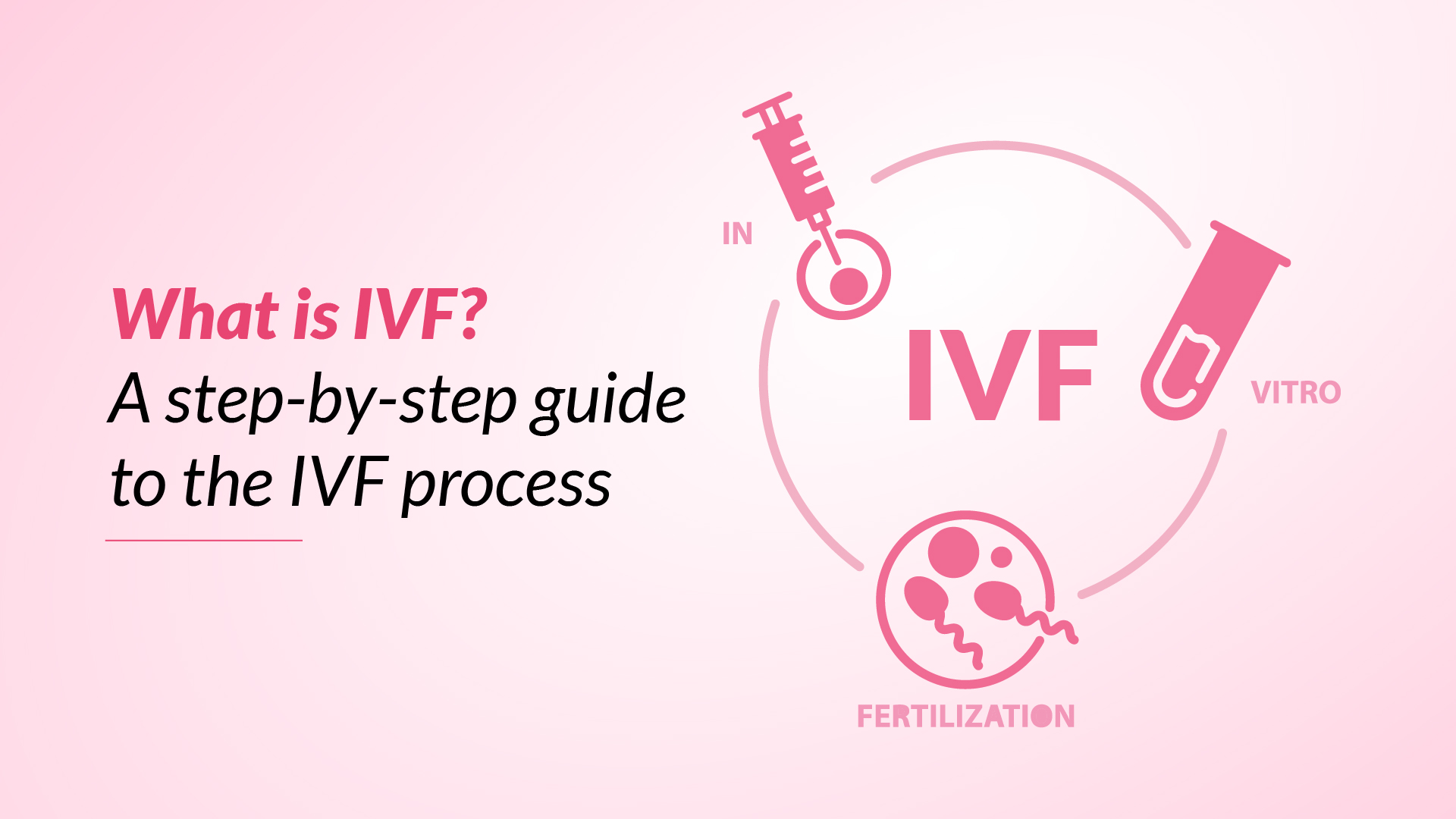 IVF Process: Step-by-Step Guide to In Vitro Fertilization